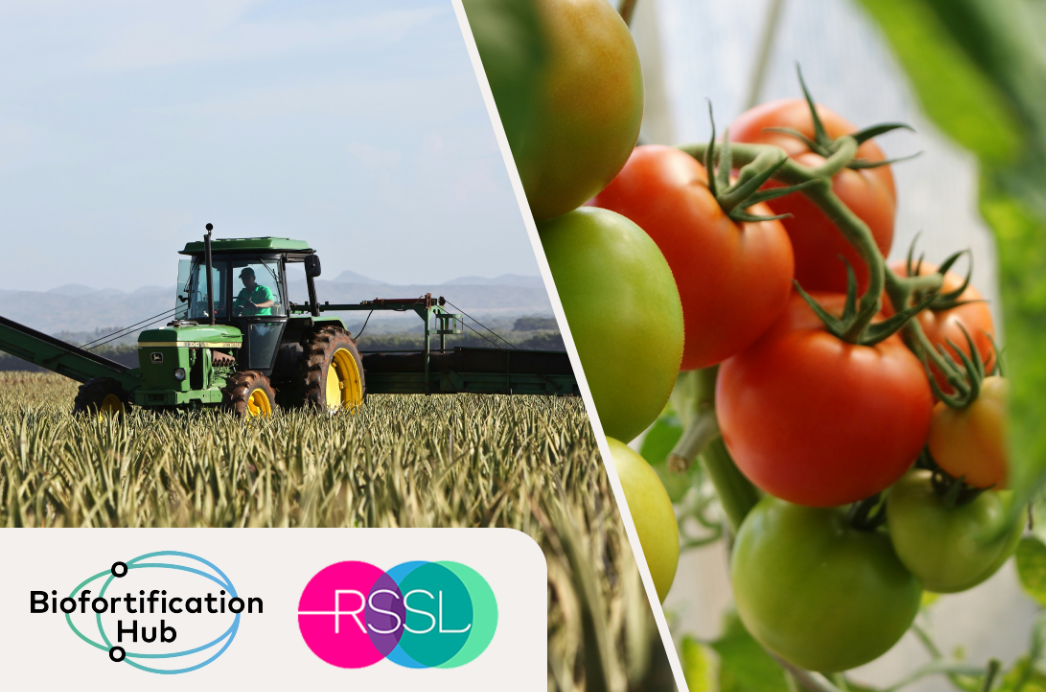 Boosting Biofortification: Bridging Science, Practice and Policy | RSSL